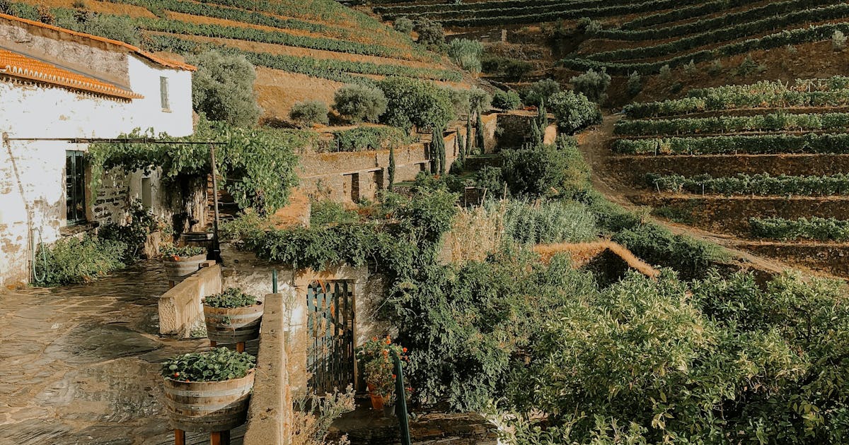 Bus Maribor to Mirandela from $177 | Refundable Tickets | Busbud