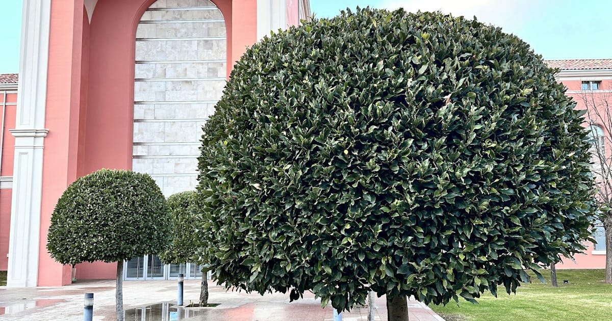 Tren Valladolid a Logroño desde 19 € | Busbud